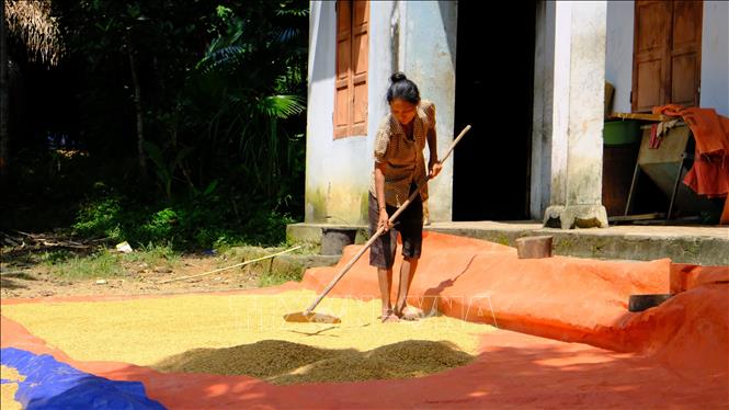 Cuộc sống mới của người Đan Lai ở Nghệ An